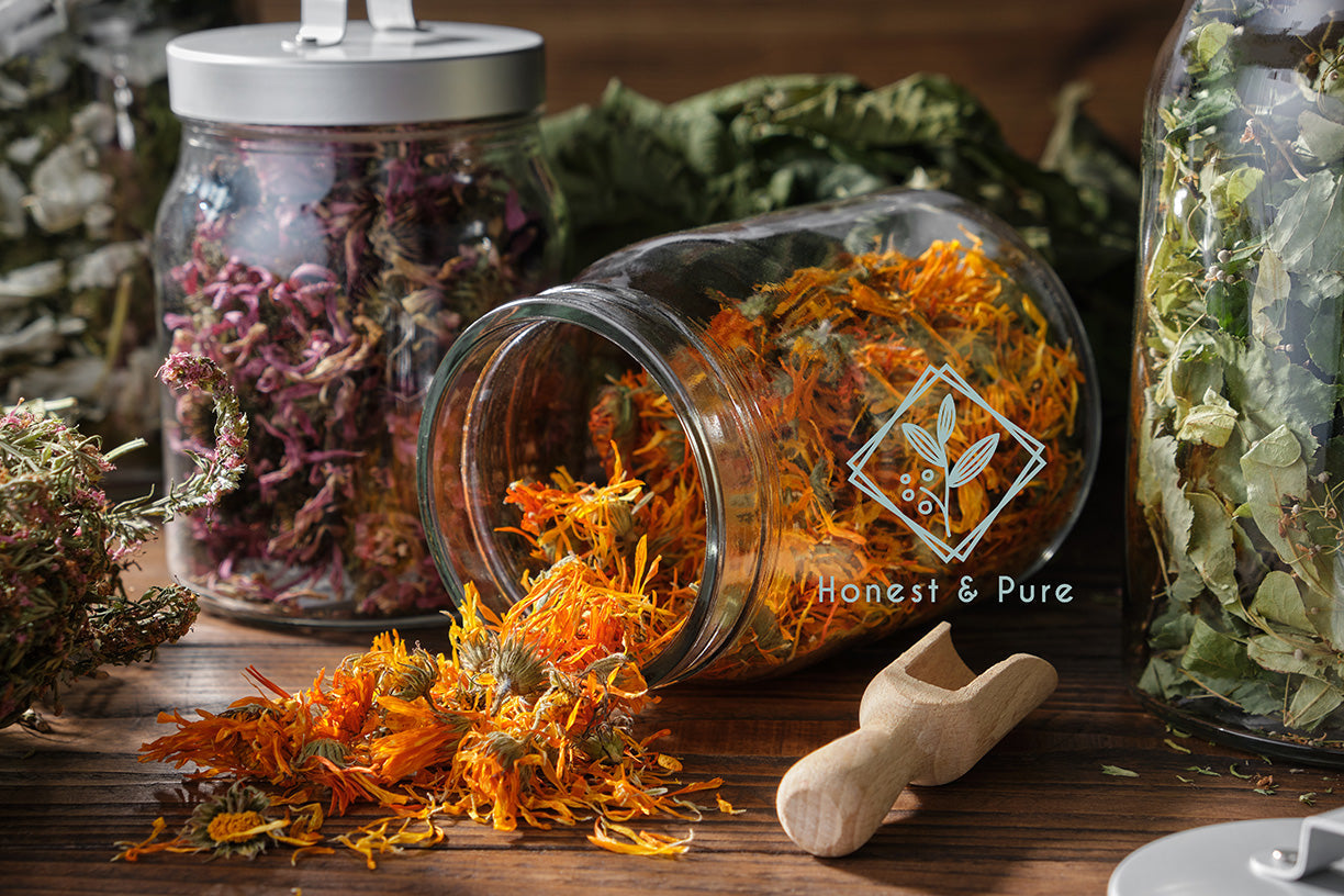 Calendula Oil Benefits: The Science-Backed Guide to This Powerful Herb ...