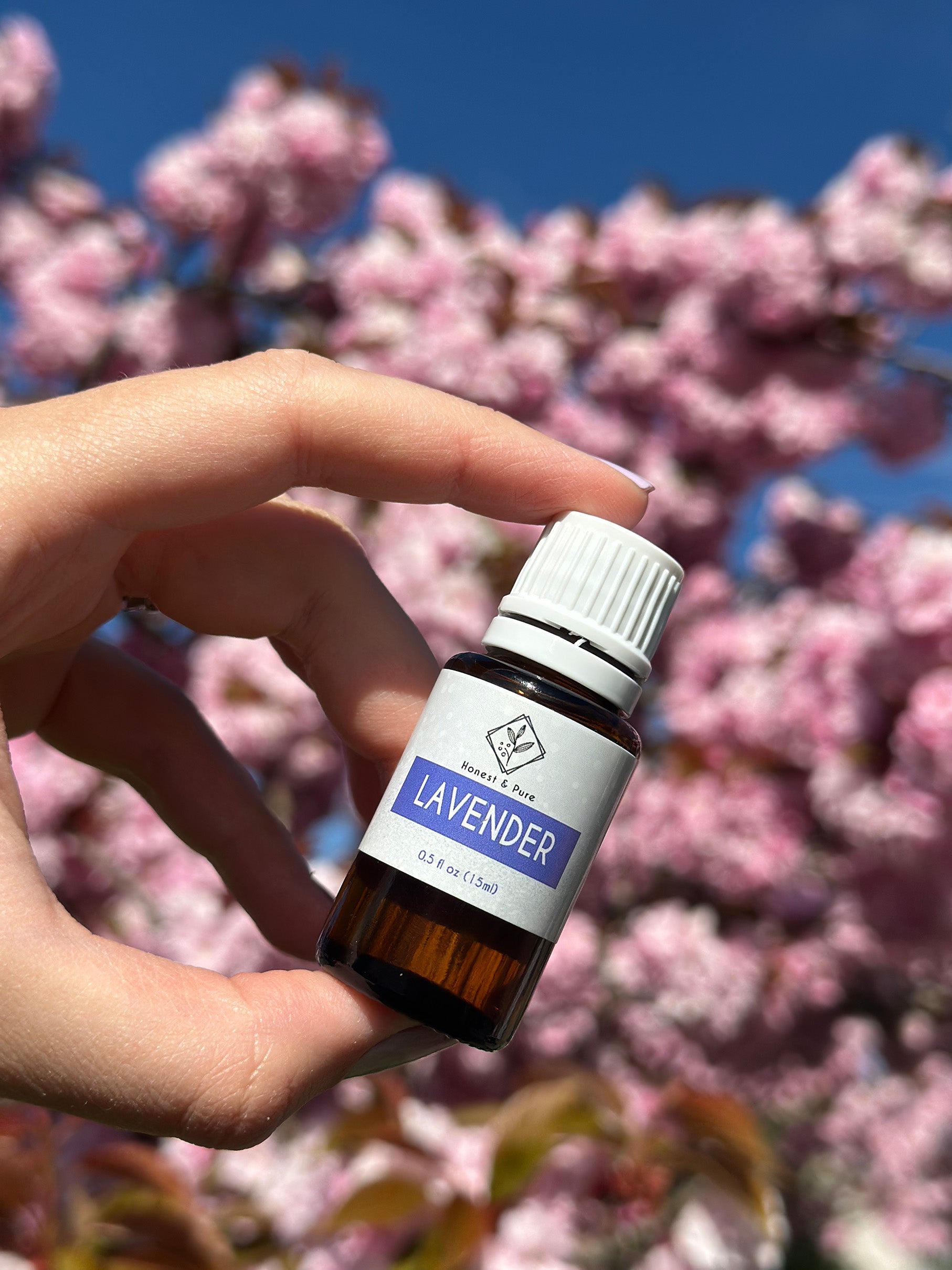 🌿 Essential Oils for Burns: Nature’s Relief for Skin Healing – Honest ...